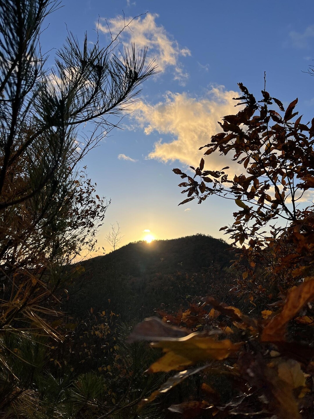 山グループ忘年会で鳩吹山・両見山(西山)登山 / Yu-min.Kさんの鳩吹山の活動データ | YAMAP / ヤマップ