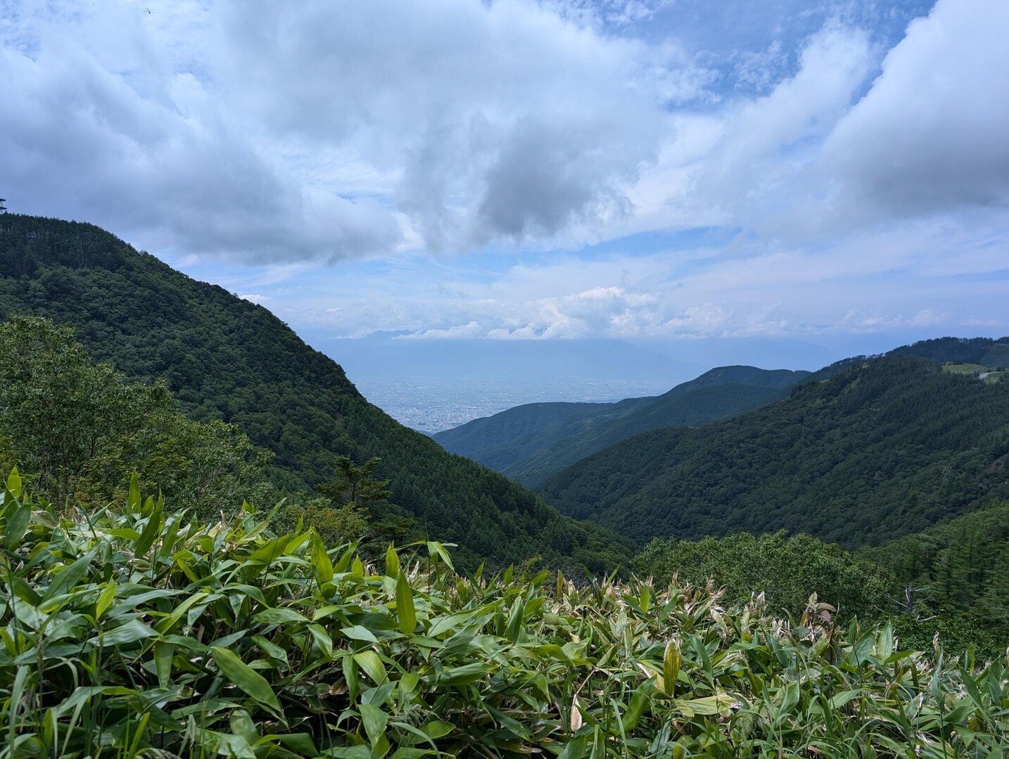 美ヶ原（王ヶ頭） / Kkさんの美ヶ原の活動データ | YAMAP / ヤマップ