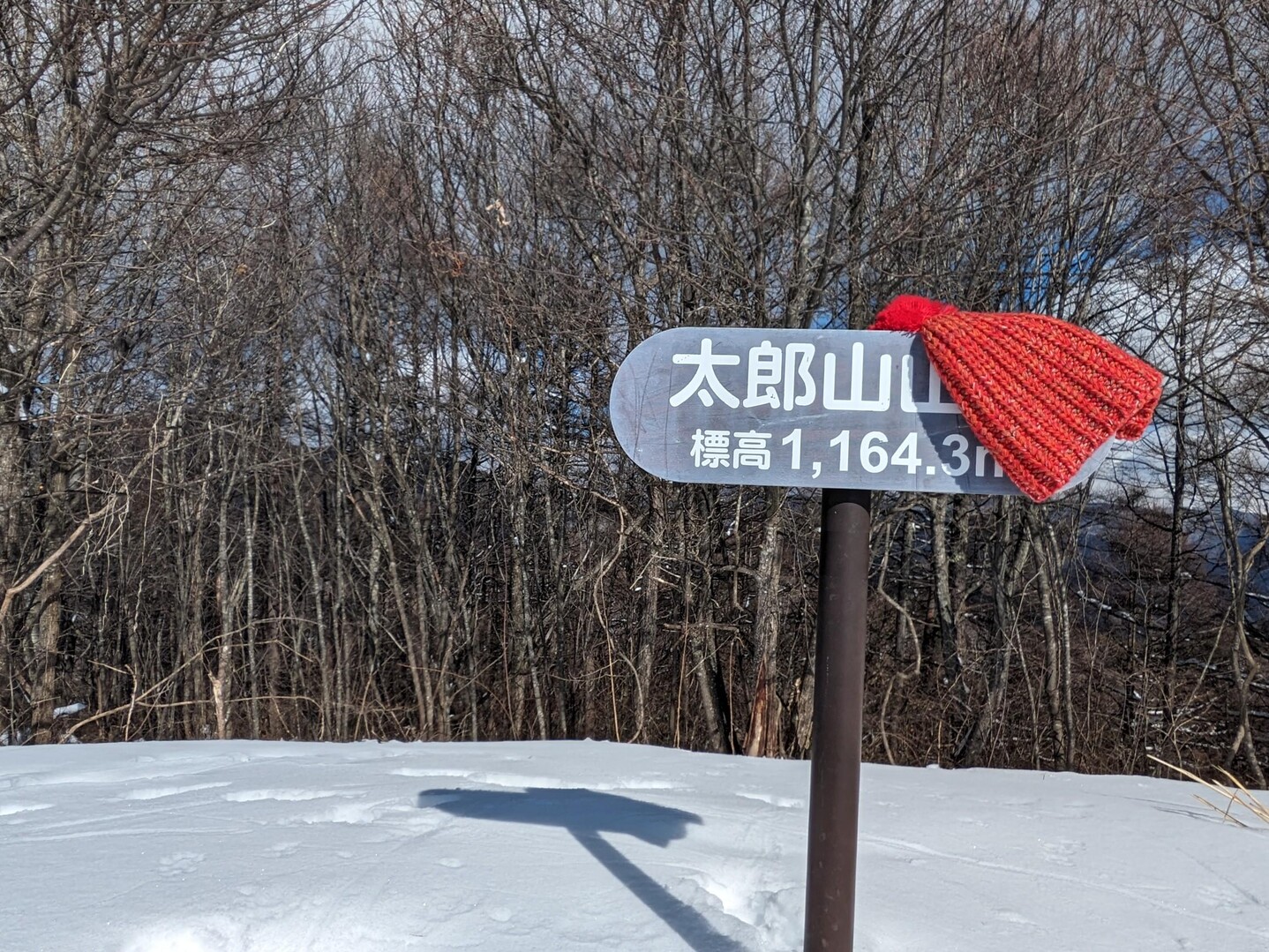 雪の太郎山🏔表参道からソロ登山 / 歩ん婆（ayunba）さんの太郎山の活動データ | YAMAP / ヤマップ