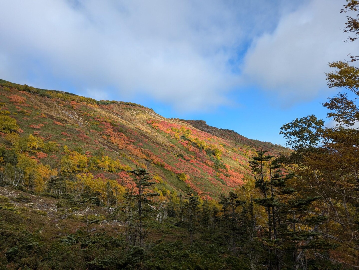 北海道遠征2、紅葉狩り(赤岳、北海岳、黒岳) / F-taさんの大雪山系・旭岳・トムラウシの活動データ | YAMAP / ヤマップ