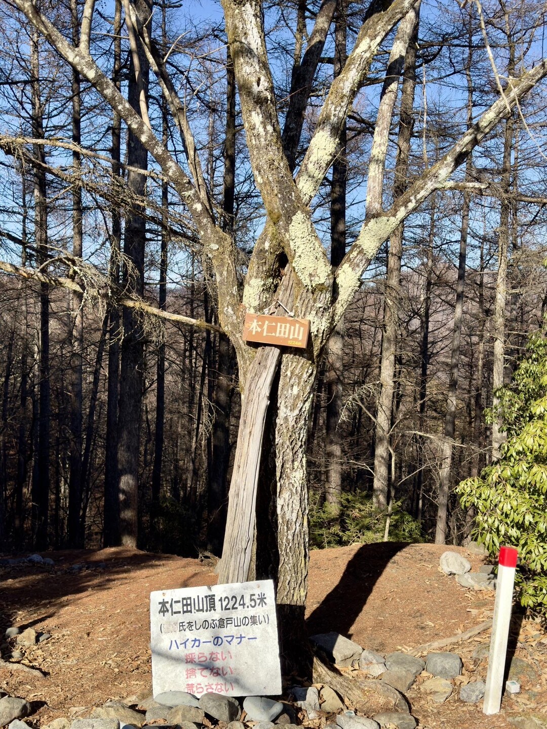 本仁田山・瘤高山・殿上山 / Markさんの川苔山（川乗山）の活動データ | YAMAP / ヤマップ