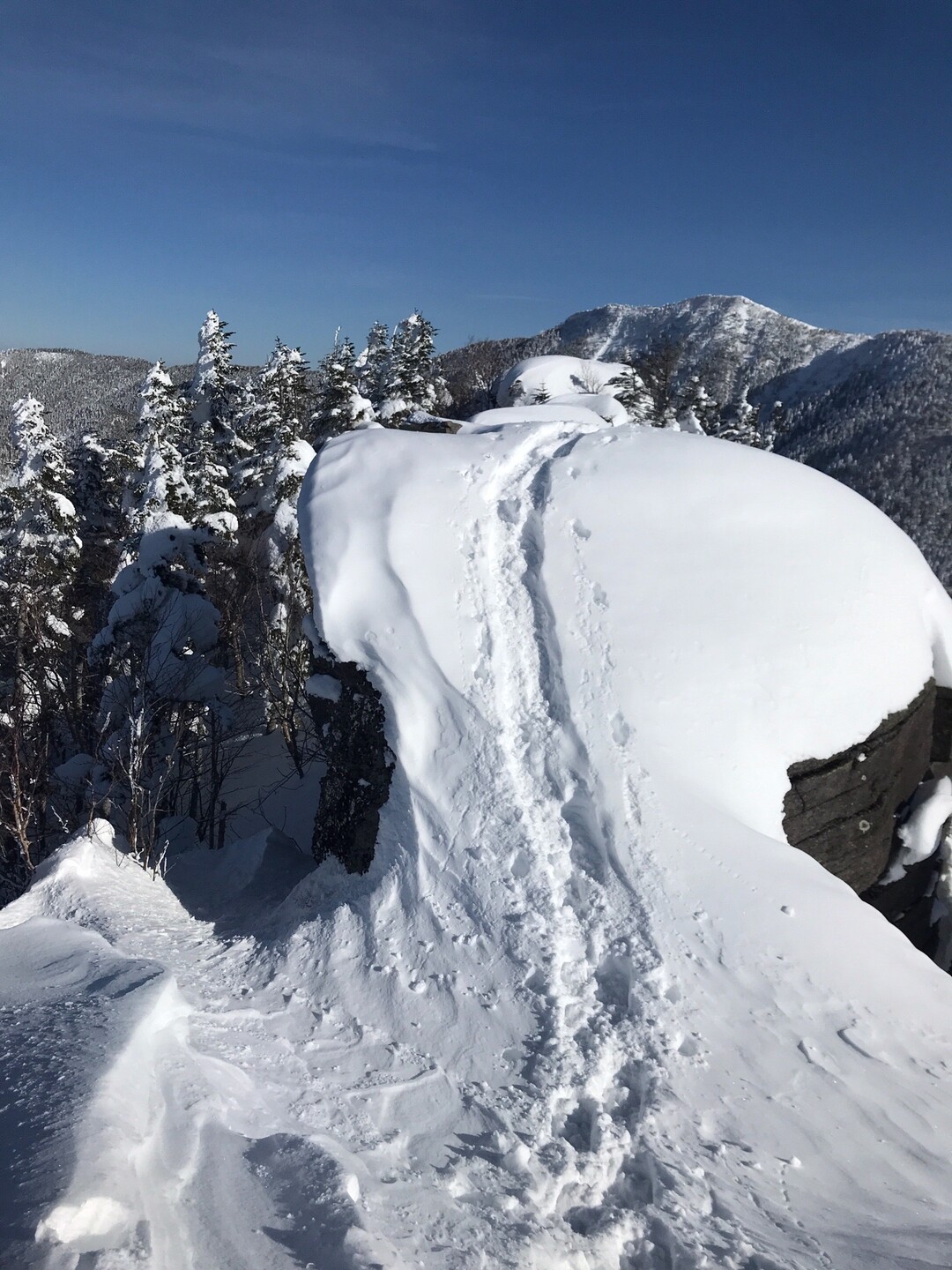 ytさんの投稿したフィールドメモ | YAMAP / ヤマップ