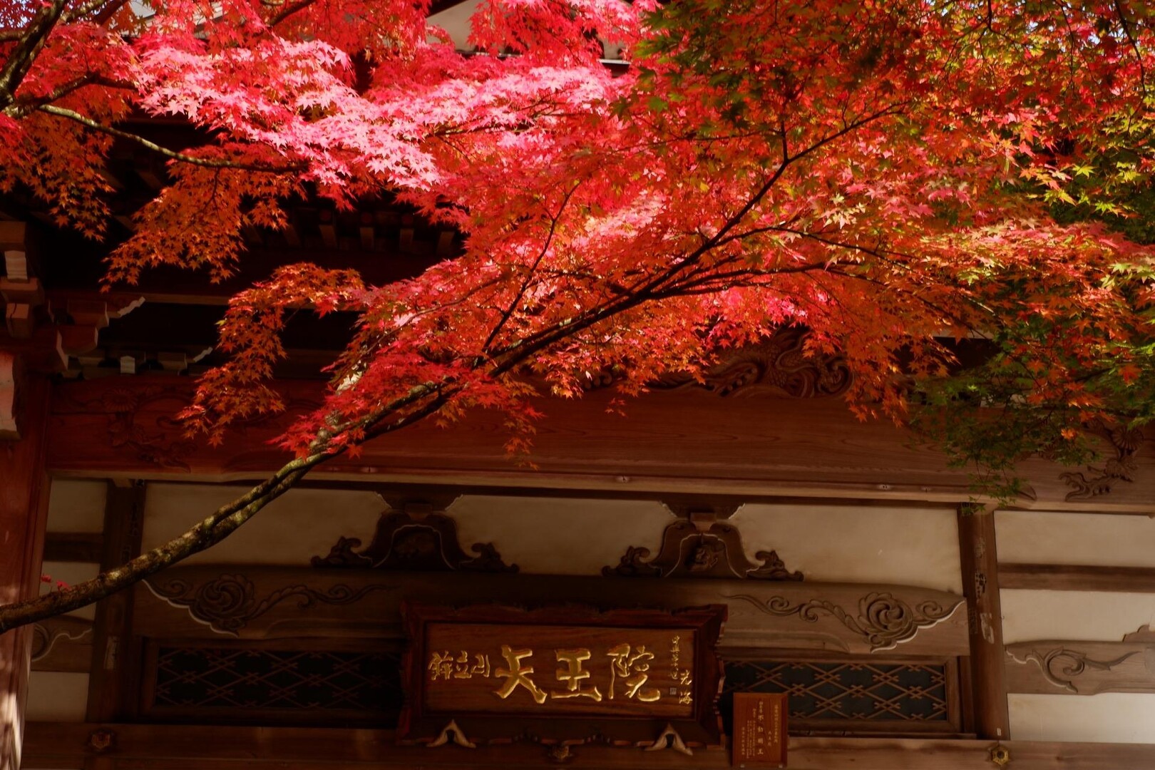 2022/11/04 呑山観音寺 平日... / Samさんのモーメント | YAMAP / ヤマップ