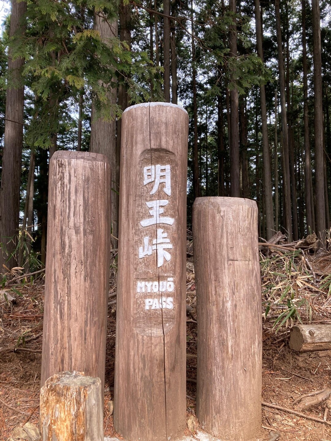 明王峠 - WBC準決勝が気になりながらも山歩き / 晴天ハイカーさんの高尾山・陣馬山・景信山の活動データ | YAMAP / ヤマップ