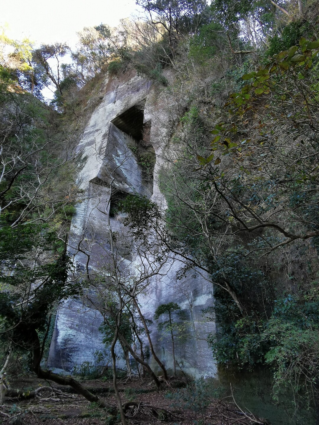 気になるロープを辿って / HB-IHAさんの登山の活動データ | YAMAP / ヤマップ