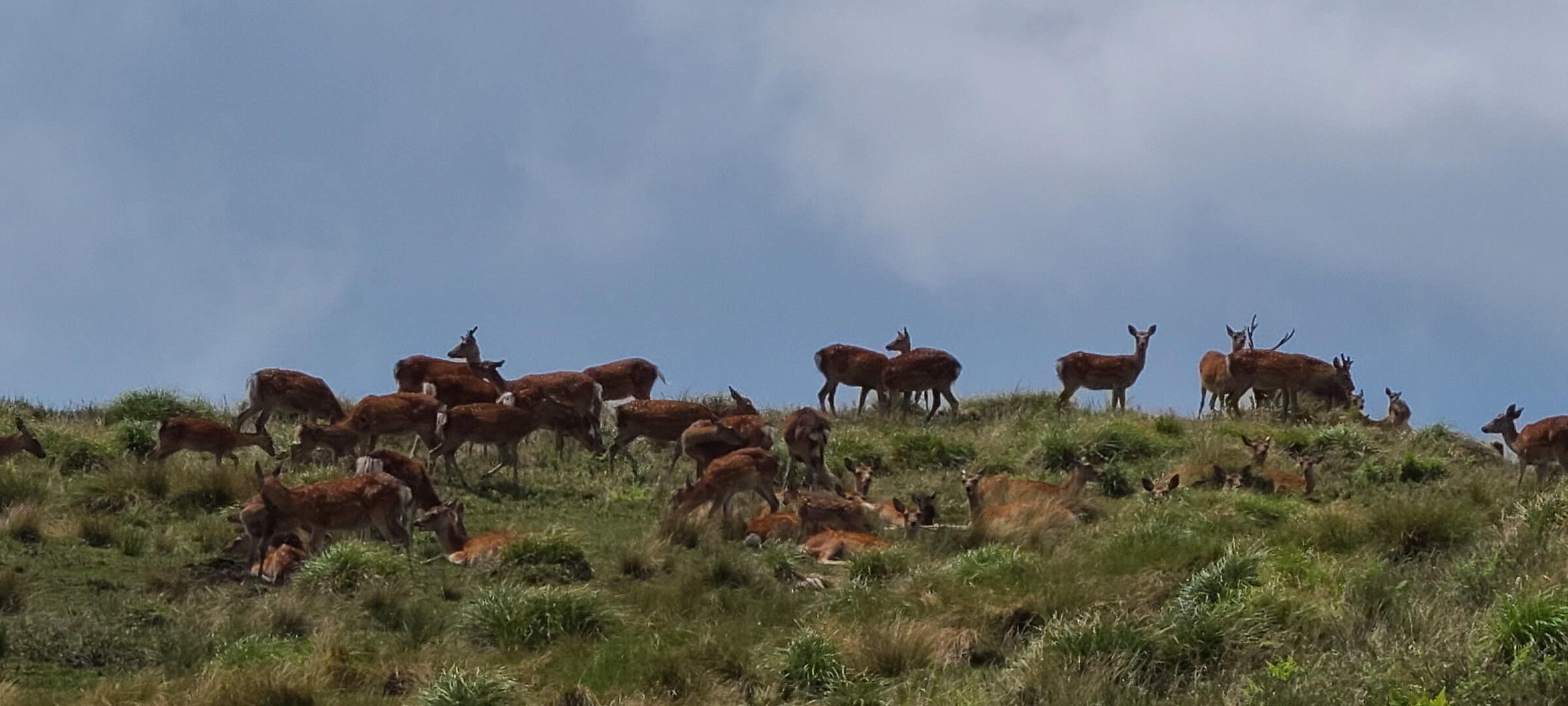 砂山・竜ヶ岳 / naOmi-n7さんの竜ヶ岳の活動データ | YAMAP / ヤマップ