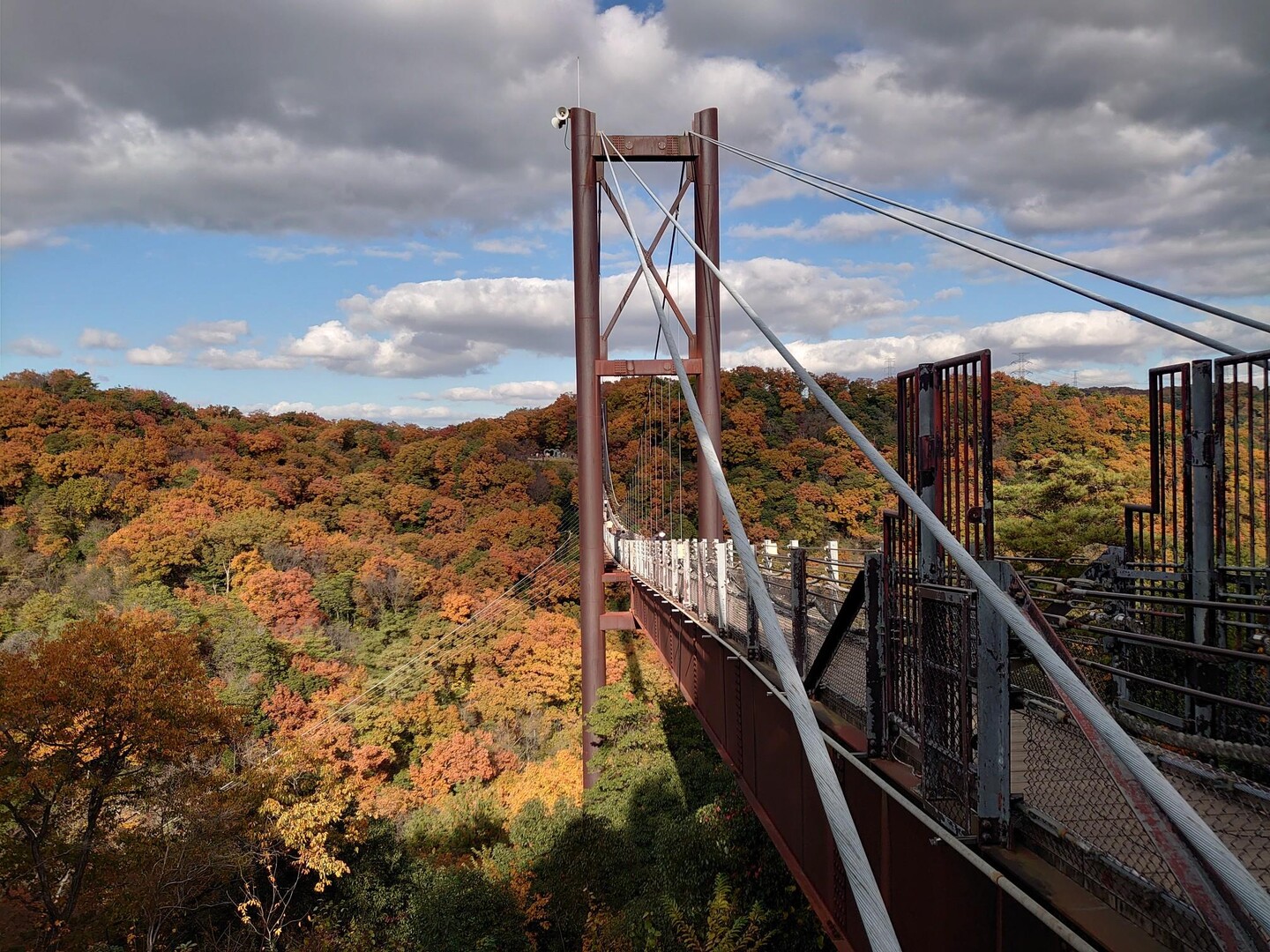 星田連山🍁🍁最高やん⤴️ / としとしさんの交野山・国見山の活動データ | YAMAP / ヤマップ
