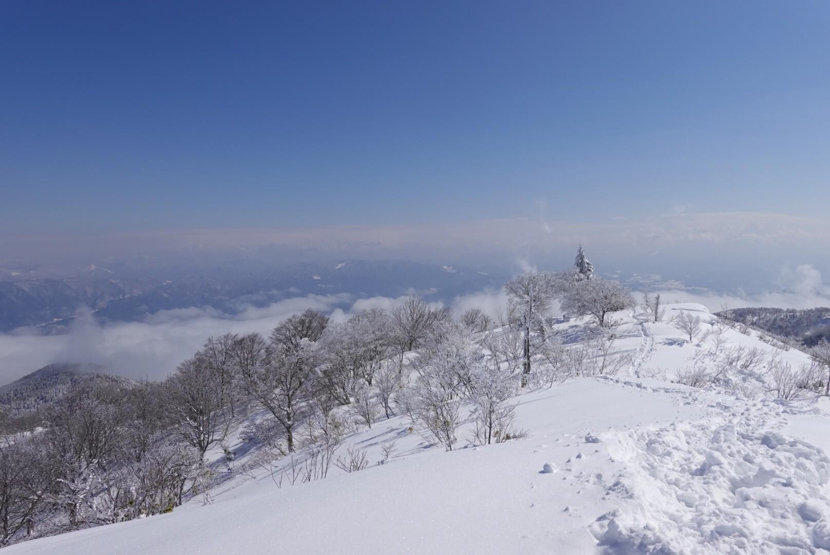 霧氷あり 猪臥山 / じんぞうさんの猪臥山の活動日記 | YAMAP / ヤマップ