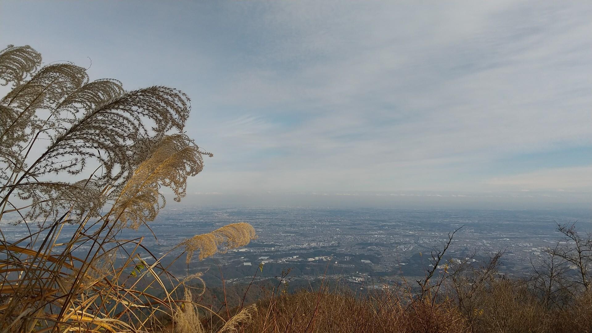 三角山・春嶽山・大山・岳ノ台 / ポエムさんの大山の活動データ | YAMAP / ヤマップ