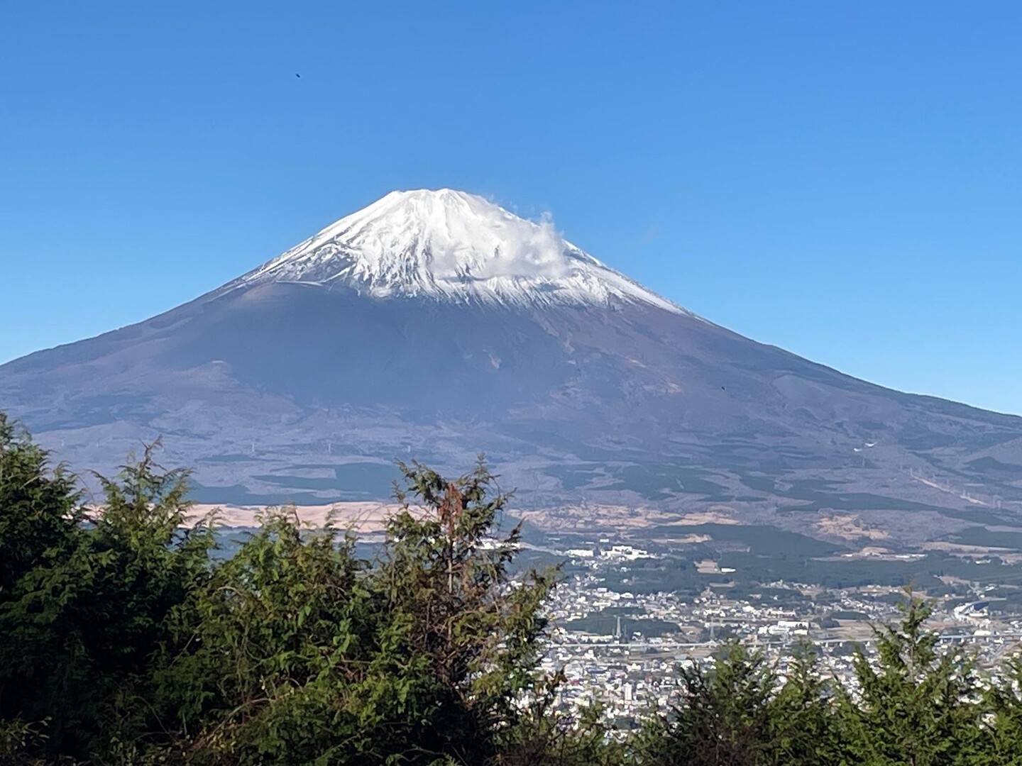 長尾山・金時山 / hal0330さんの金時山・明神ヶ岳の活動データ | YAMAP / ヤマップ