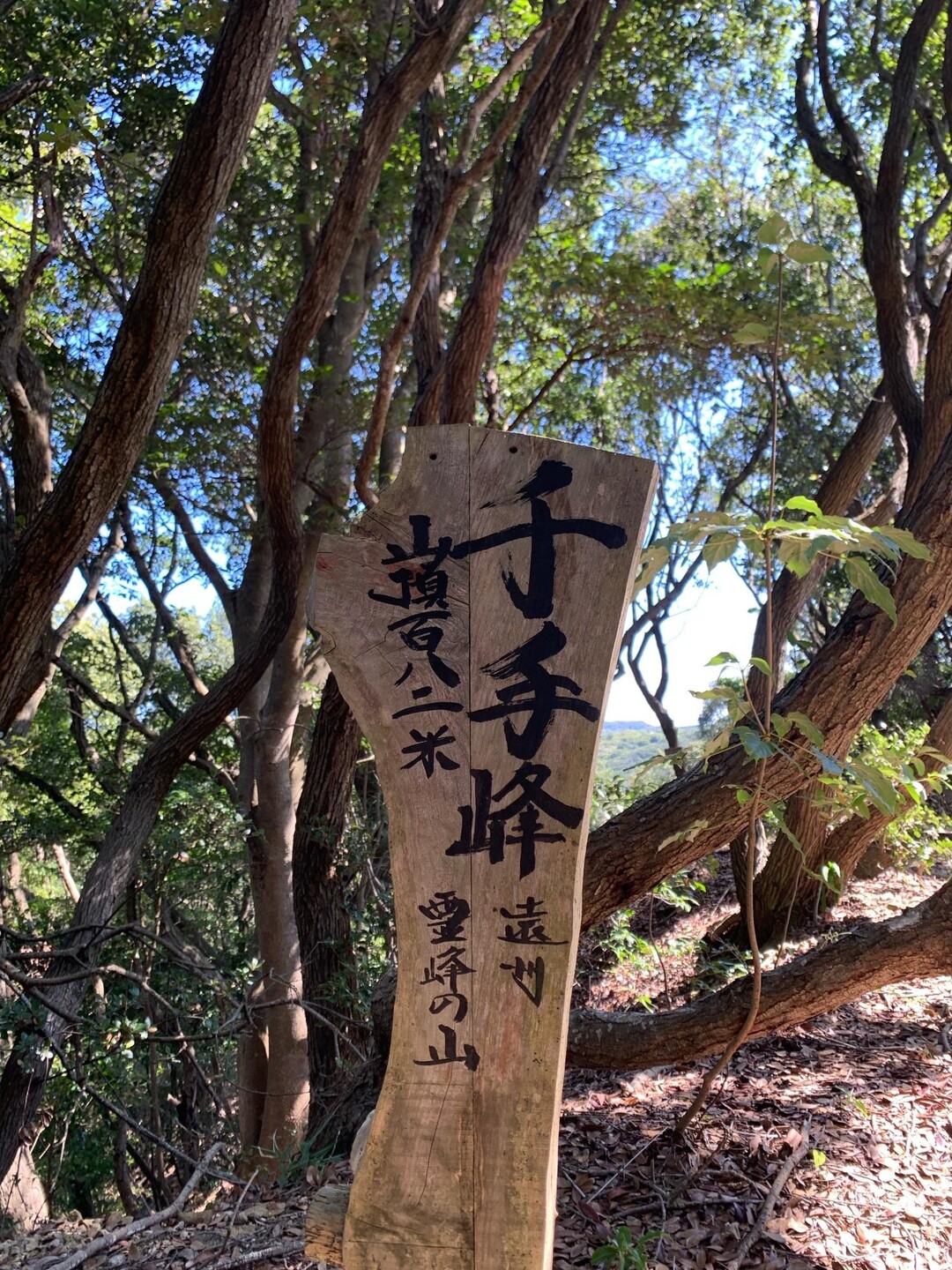 千手峰・三沢山 / jimきちさんの小笠山の活動データ | YAMAP / ヤマップ