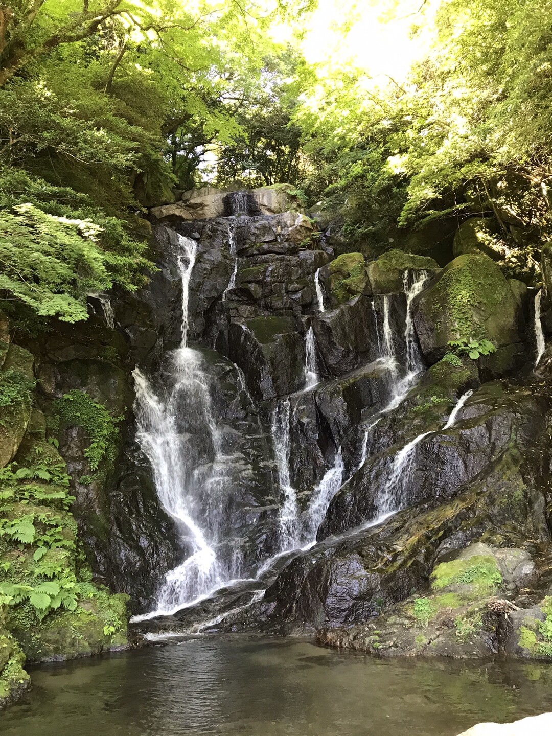 雷山周辺寄り道 白糸の滝 清賀の滝 ... / MM45さんのモーメント | YAMAP / ヤマップ
