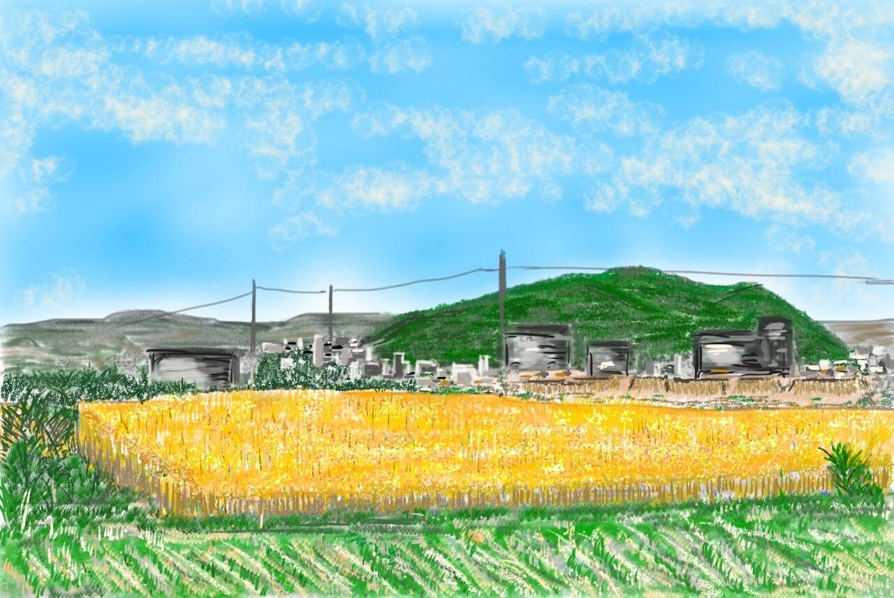 青空に 映える稲穂の 黄金色 暮秋に広が... / clearkkさんのモーメント | YAMAP / ヤマップ