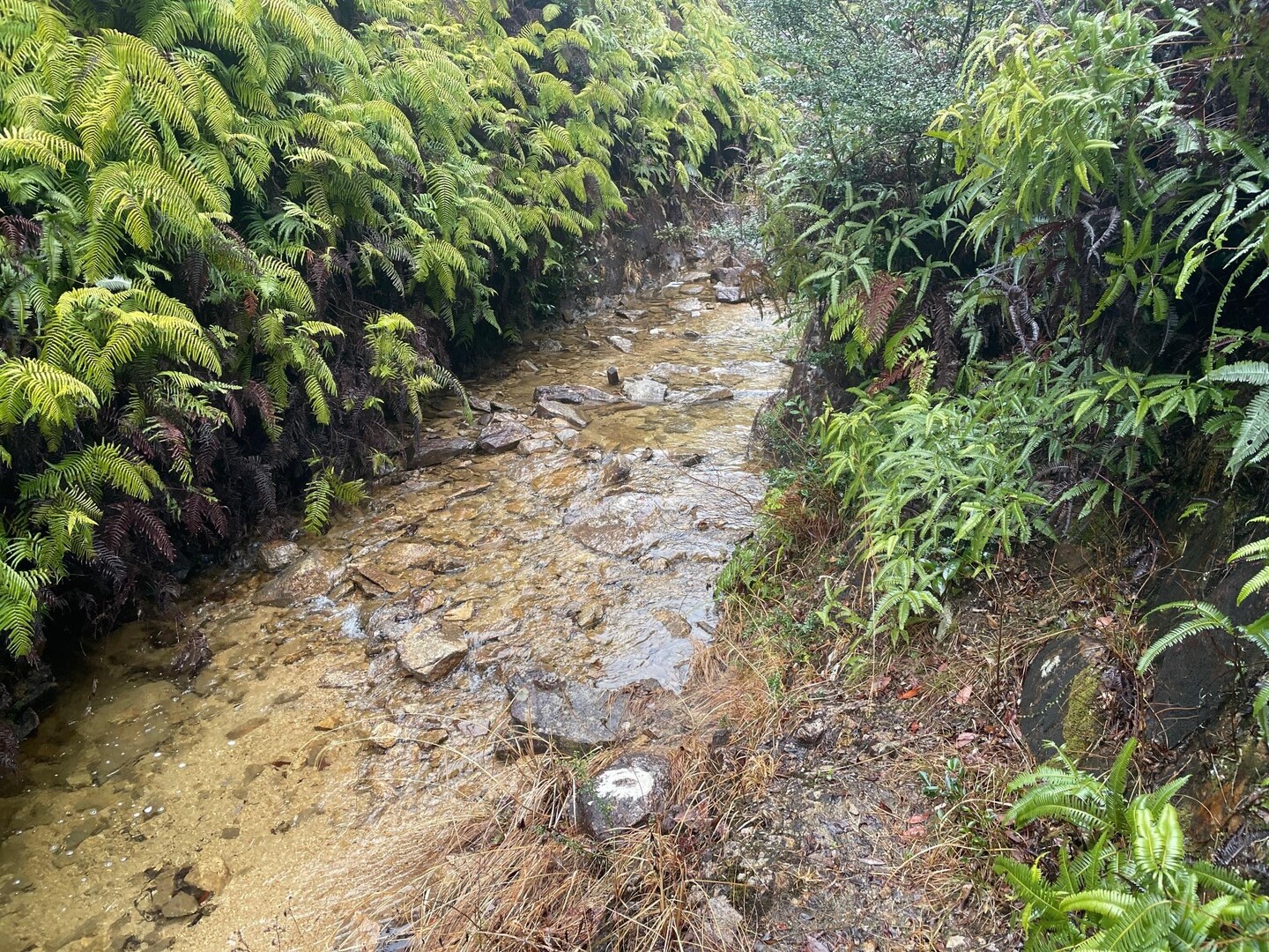 persさんの投稿したフィールドメモ | YAMAP / ヤマップ