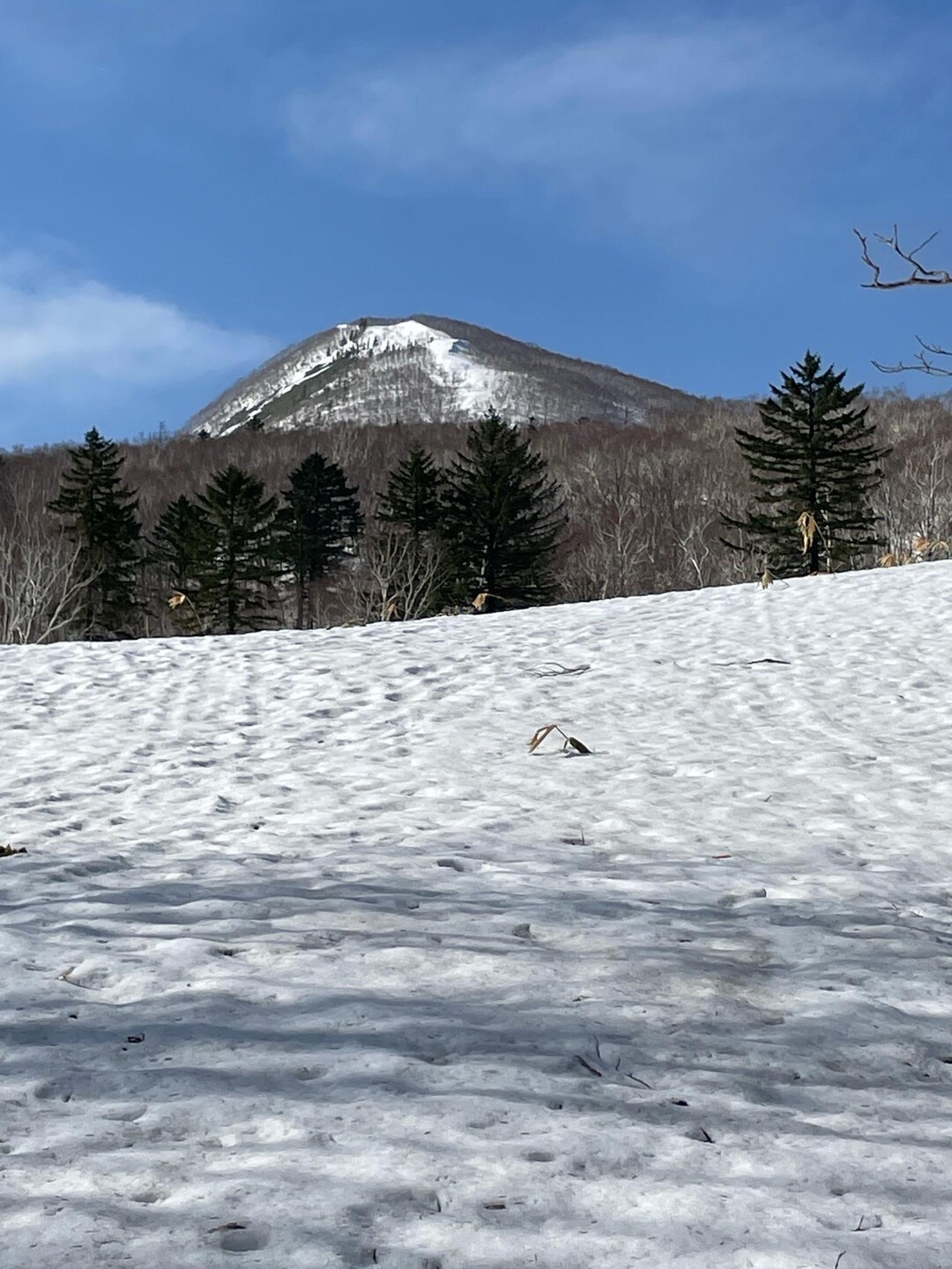 狩勝山 / かっくんさんのGT3 6の活動データ | YAMAP / ヤマップ