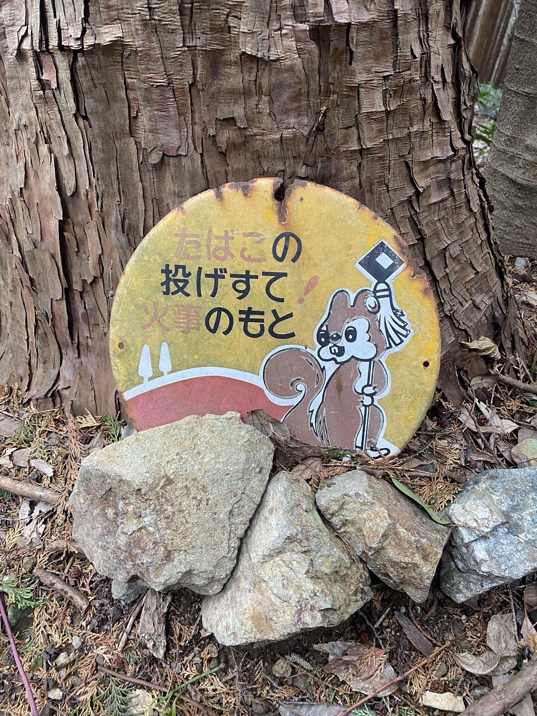 ⛰️2023登り納め⛰️砲台山・妙見山・足立山（霧ヶ岳） / PK🍑さんの足立山・戸ノ上山の活動データ | YAMAP / ヤマップ