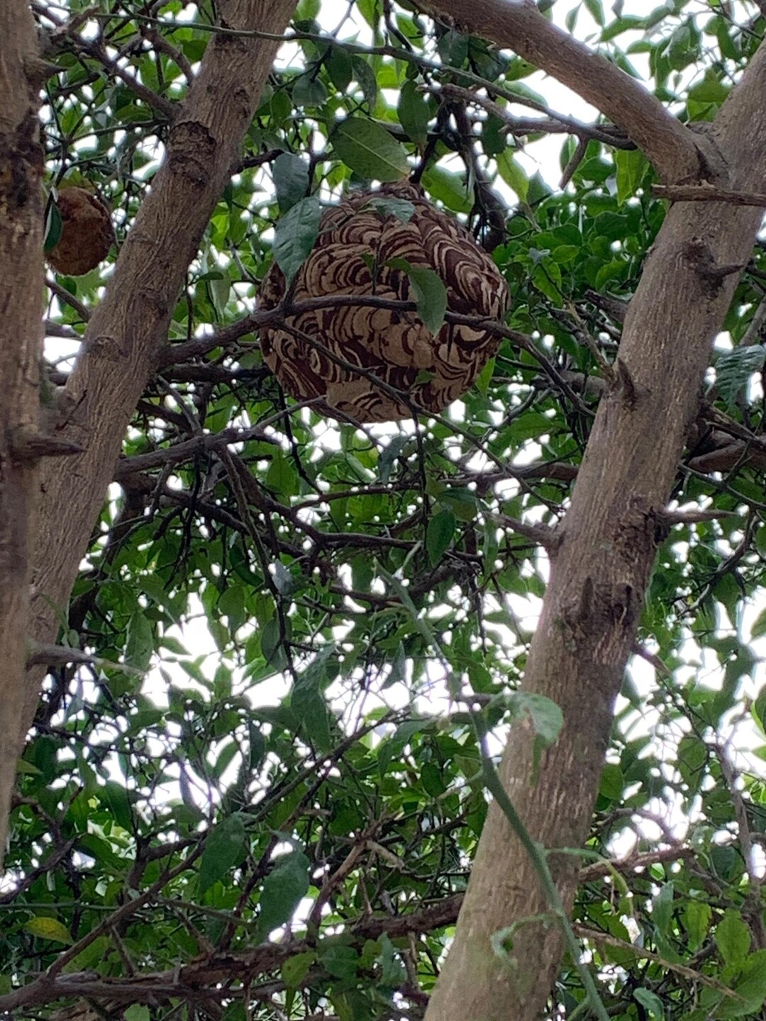 篠栗四国八十八箇所-2023-02-14 / yyshigeさんの篠栗四国八十八箇所の活動データ | YAMAP / ヤマップ