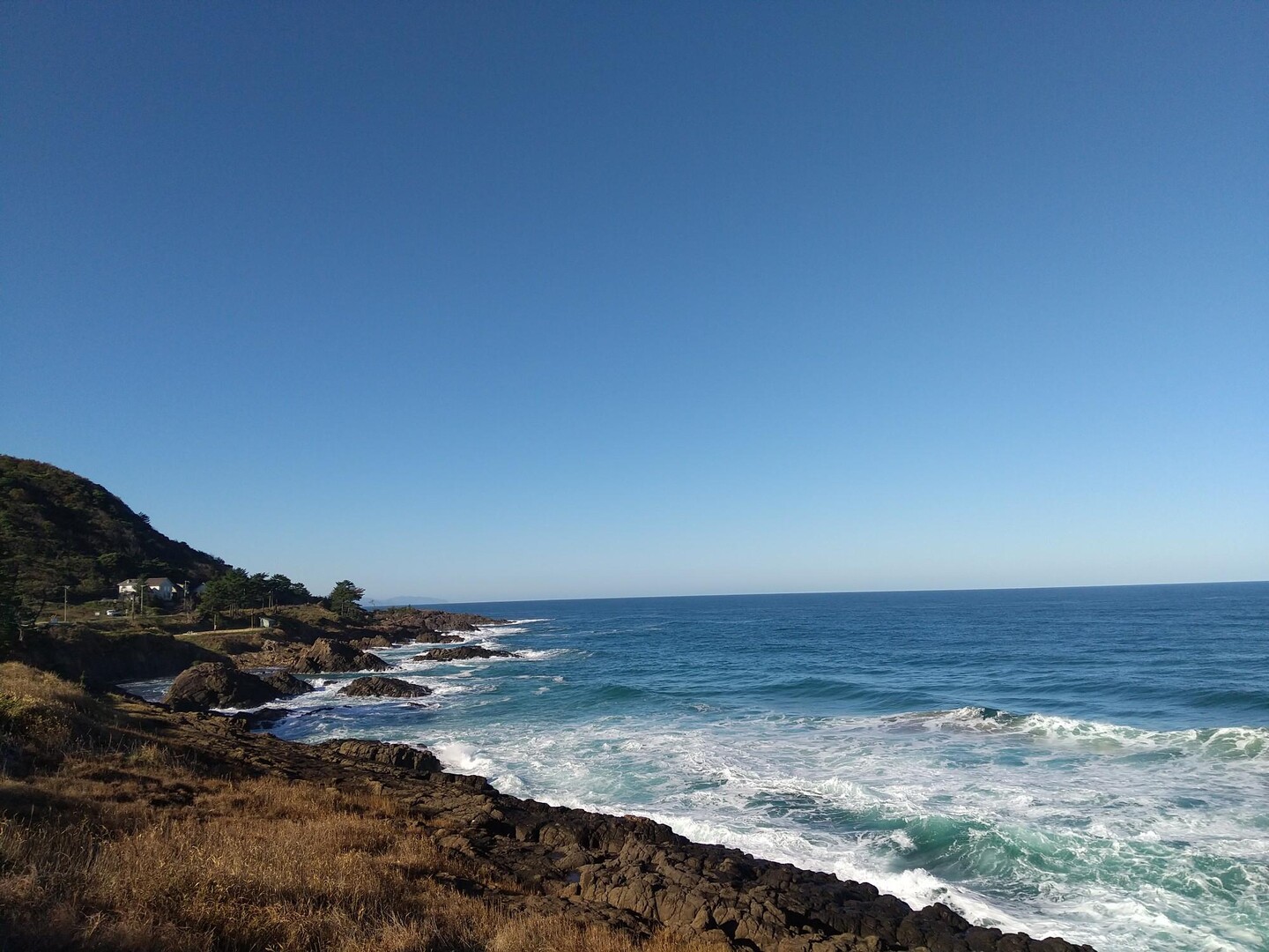 依遅ヶ尾山 / jujuさんの依遅ヶ尾山の活動データ | YAMAP / ヤマップ