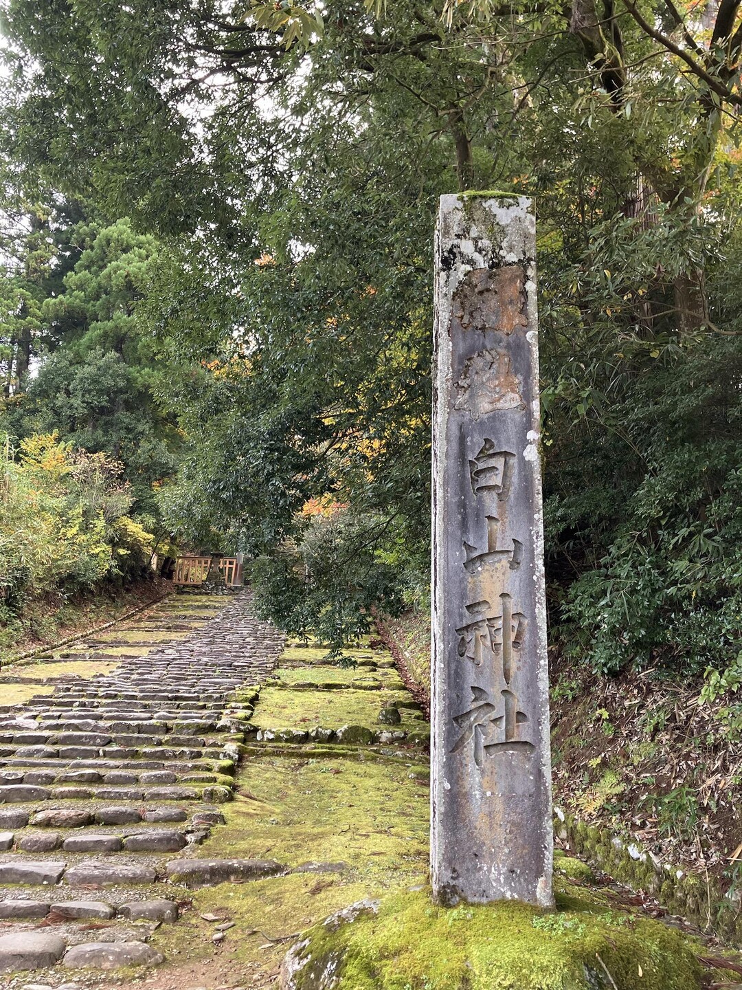 福井平泉寺白山神社T-REX、鱗曇 / ひろまつさんのモーメント | YAMAP / ヤマップ