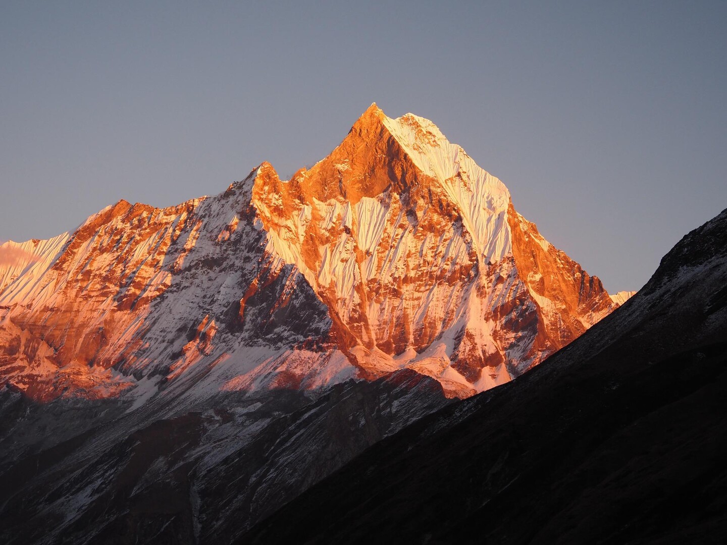 Annapruna Base Camp / Billyさんのアンナプルナ サンクチュアリ トレックの活動データ | YAMAP / ヤマップ