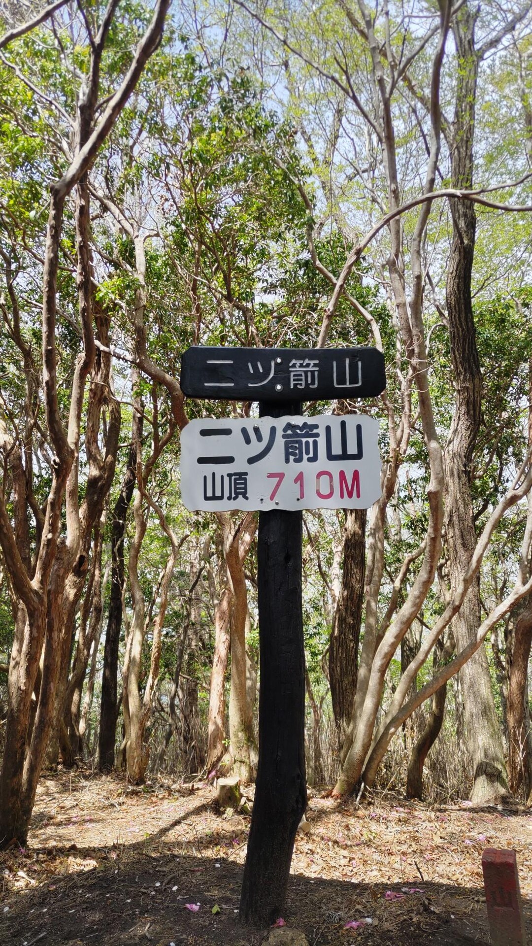 男体山・女体山・二ッ箭山・月山 / yamasanさんの二ッ箭山・三森山・猫鳴山の活動データ | YAMAP / ヤマップ