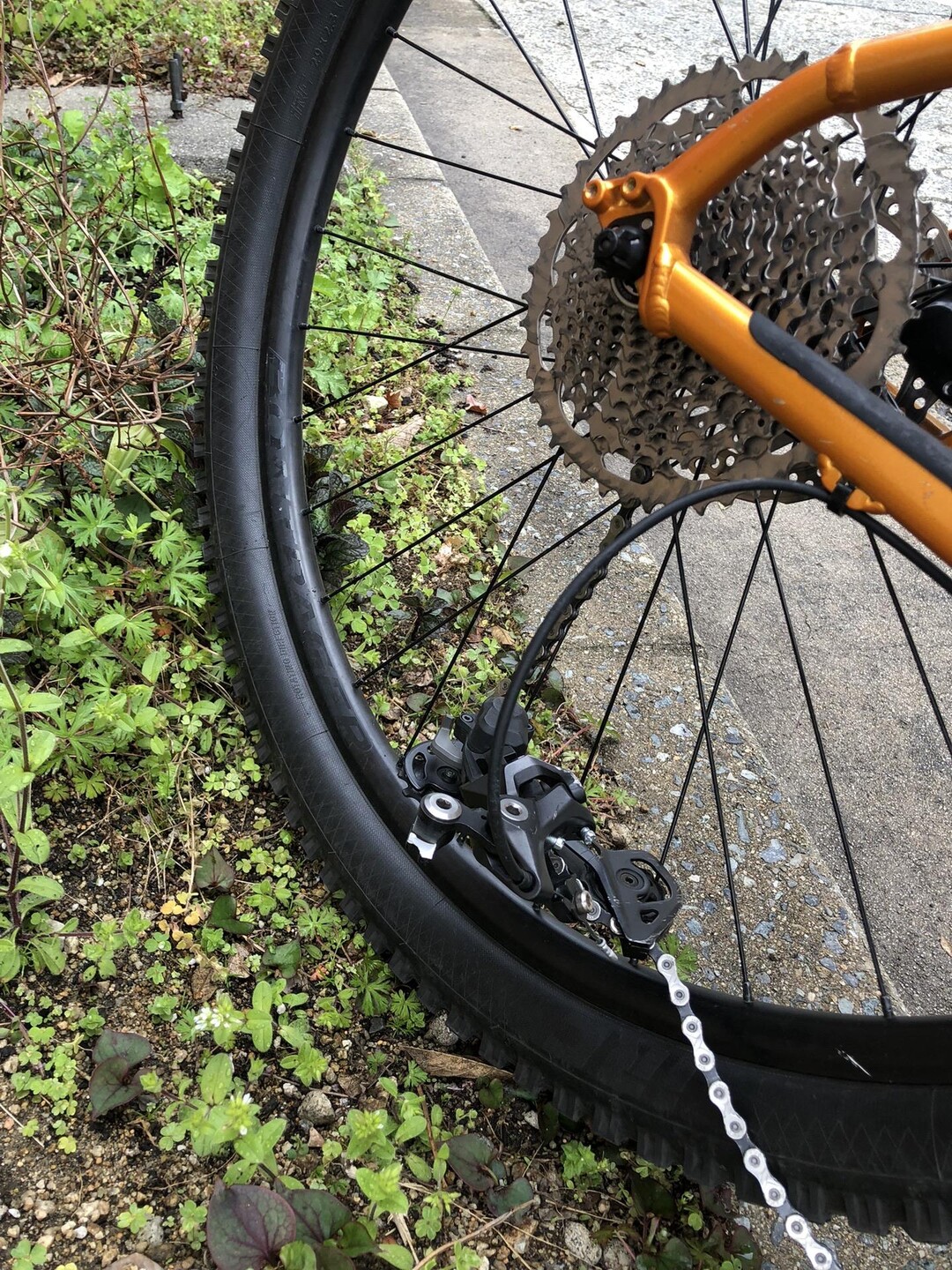 あばばばば やってしまった🥵 ディレイ... / chitoさんのモーメント | YAMAP / ヤマップ