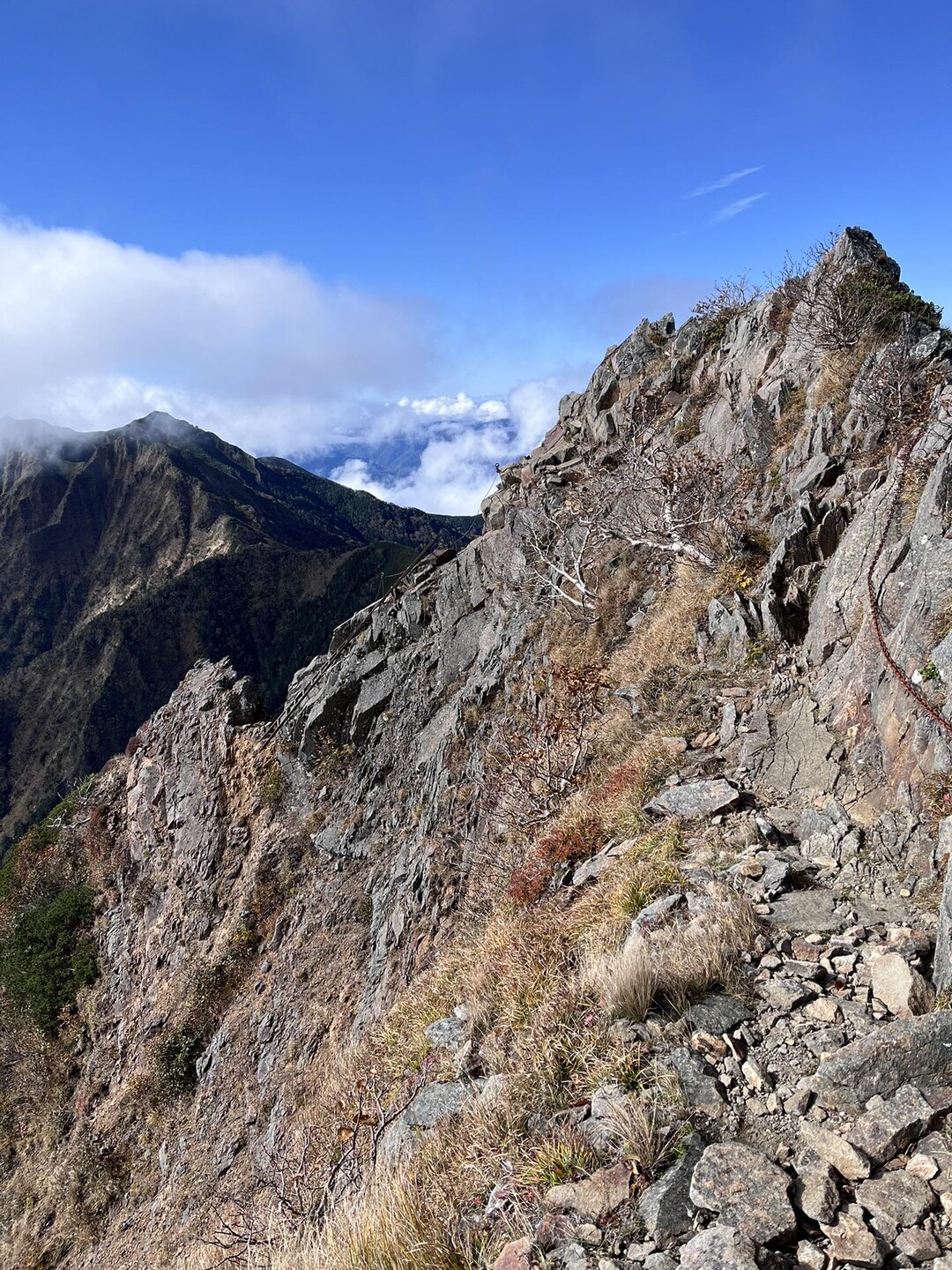 八ヶ岳南北縦走(屏風山・編笠山・西ギボシ・東ギボシ・権現岳・旭岳・ツルネ・赤岳(八ヶ岳)・地蔵ノ頭・石尊峰・横... / ymd_aさんの八ヶ岳（赤岳・硫黄岳・天狗岳）の活動データ ...