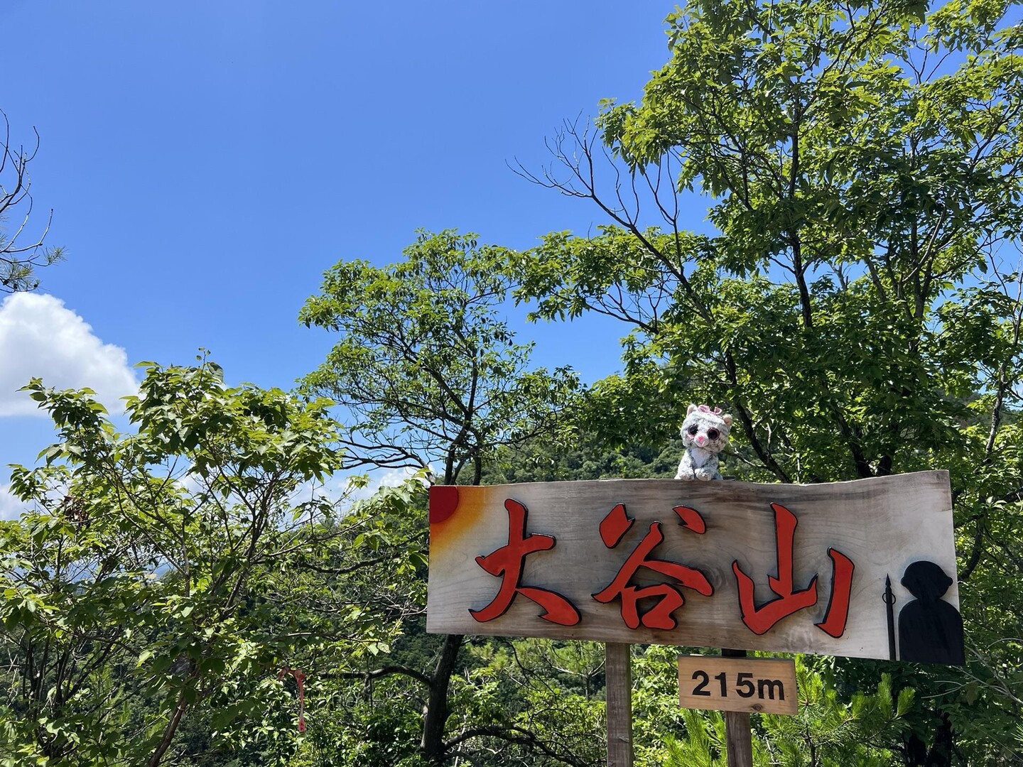 八坂山・大谷山・鬼飛山 / ISSEIさんの鬼飛山・大谷山・八坂山の活動データ | YAMAP / ヤマップ