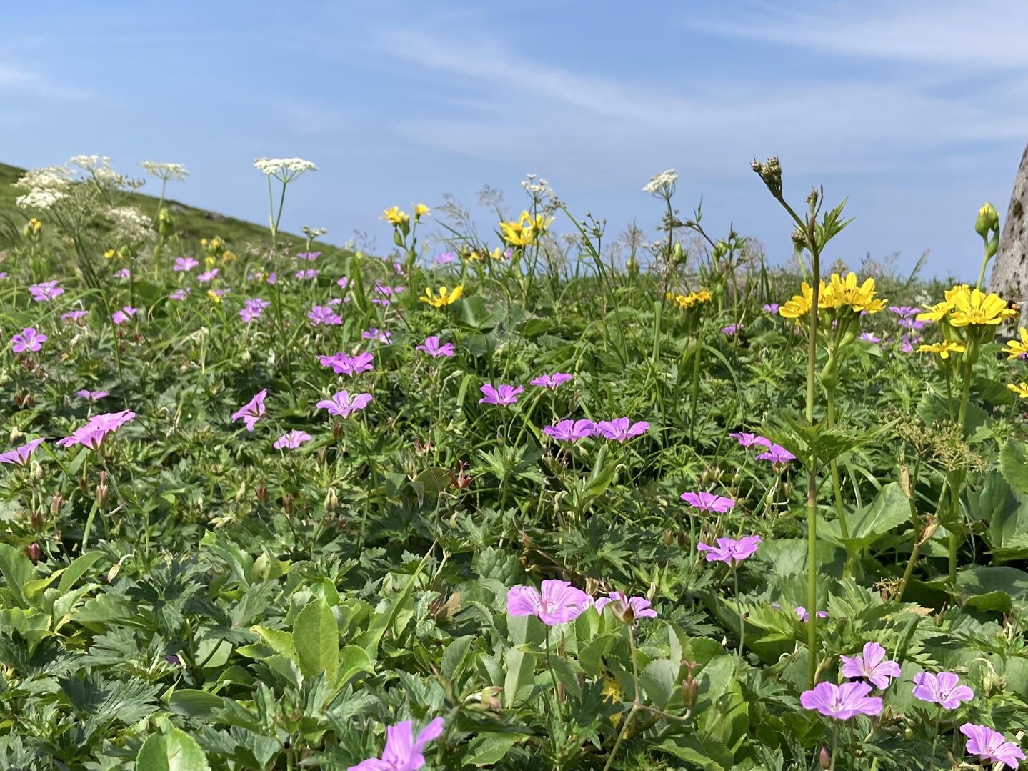 天空8合目からの月山 ️ / ponさんの月山の活動データ | YAMAP / ヤマップ