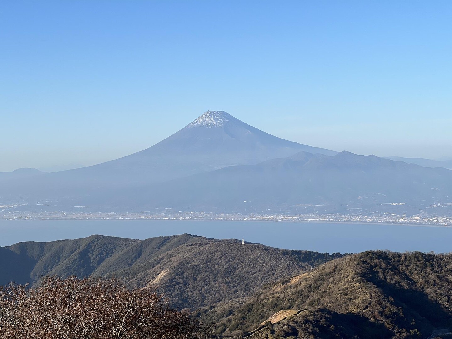 伊豆トレイルジャーニー(ITJ) 70K / ぶーちんさんの達摩山の活動データ | YAMAP / ヤマップ