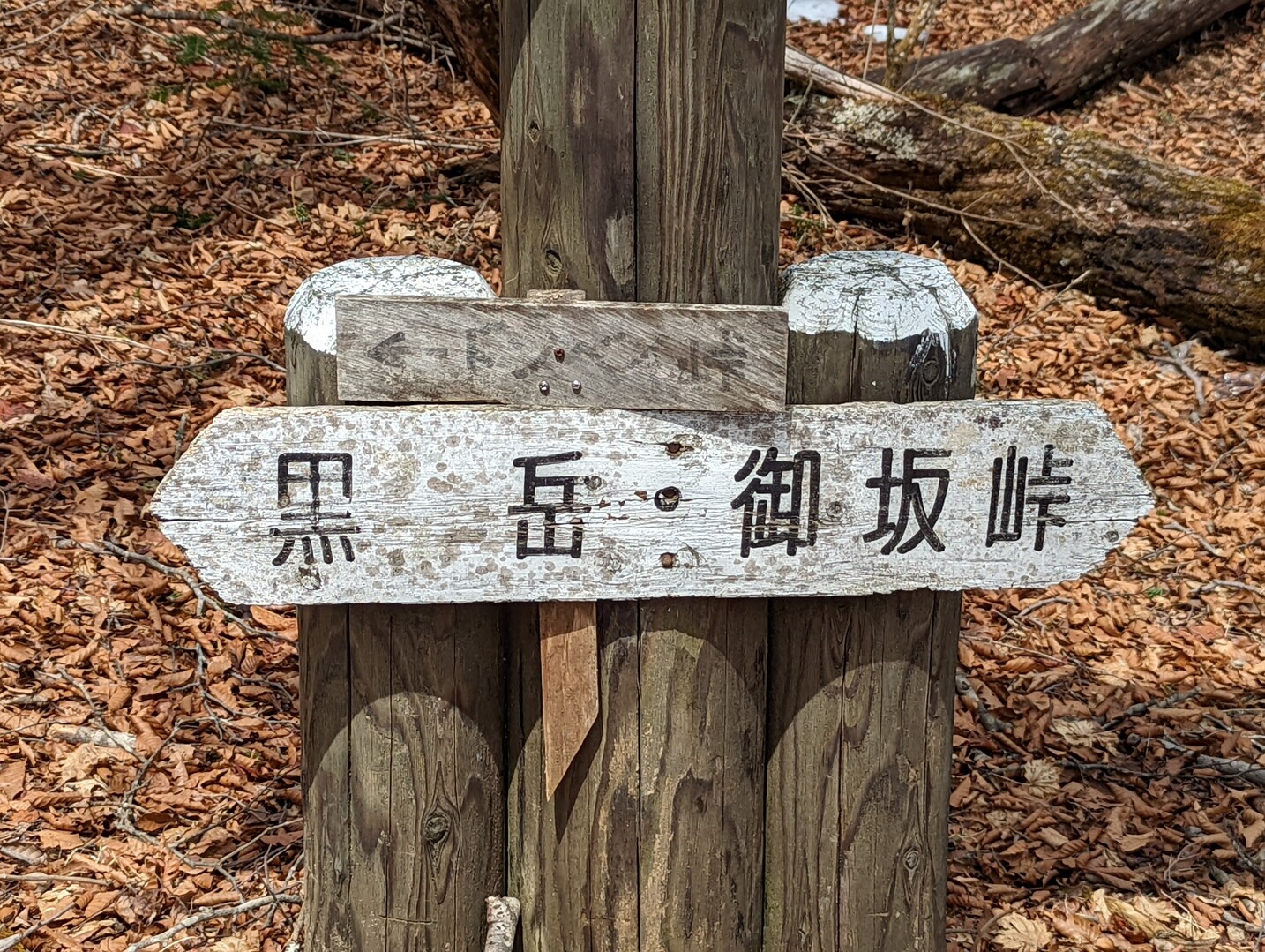 mz37さんの投稿したフィールドメモ | YAMAP / ヤマップ