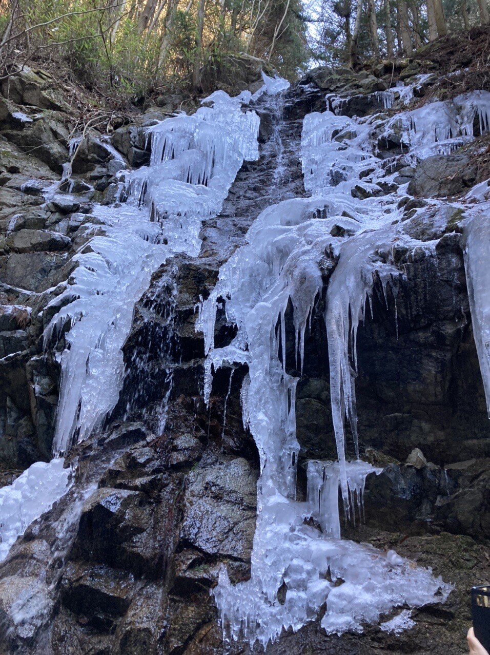 ツツジオ谷から氷瀑を‼️ 金剛山 / Samさんの金剛山・二上山・大和葛城山の活動データ | YAMAP / ヤマップ