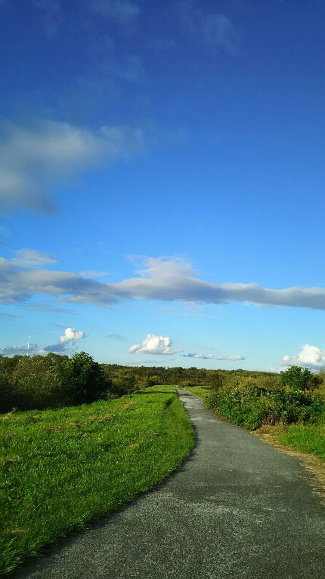 mokoのページ | YAMAP / ヤマップ