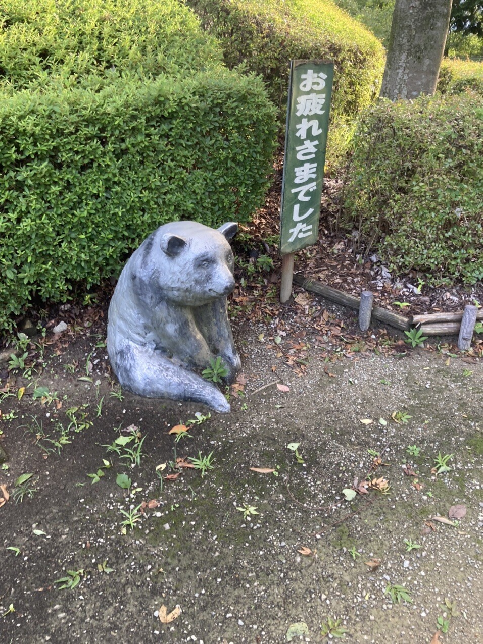 ふっちーのページ | YAMAP / ヤマップ