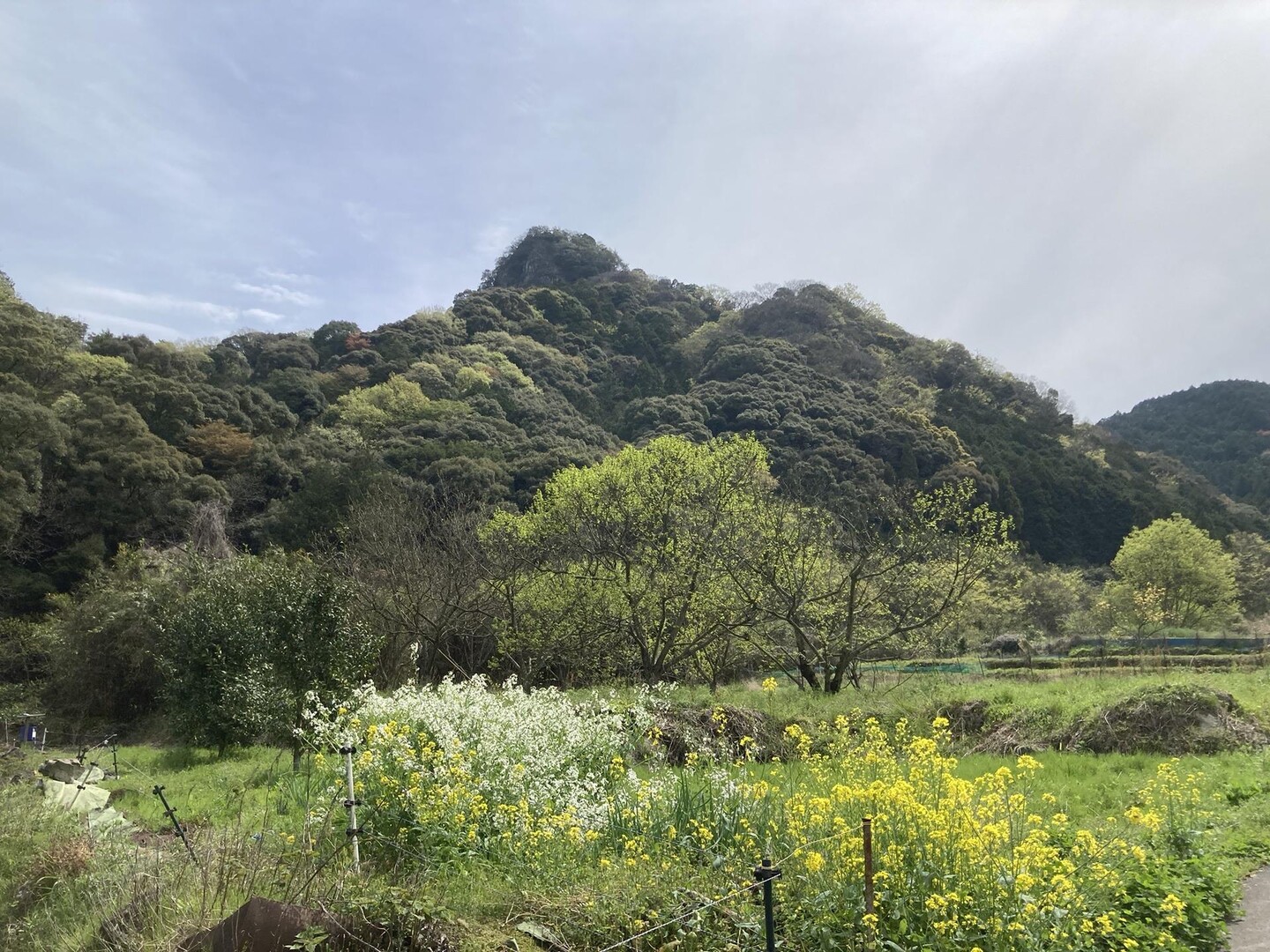 新緑の御岳山・石槌山 / Ypaaさんの四国遍路その14の活動データ | YAMAP / ヤマップ