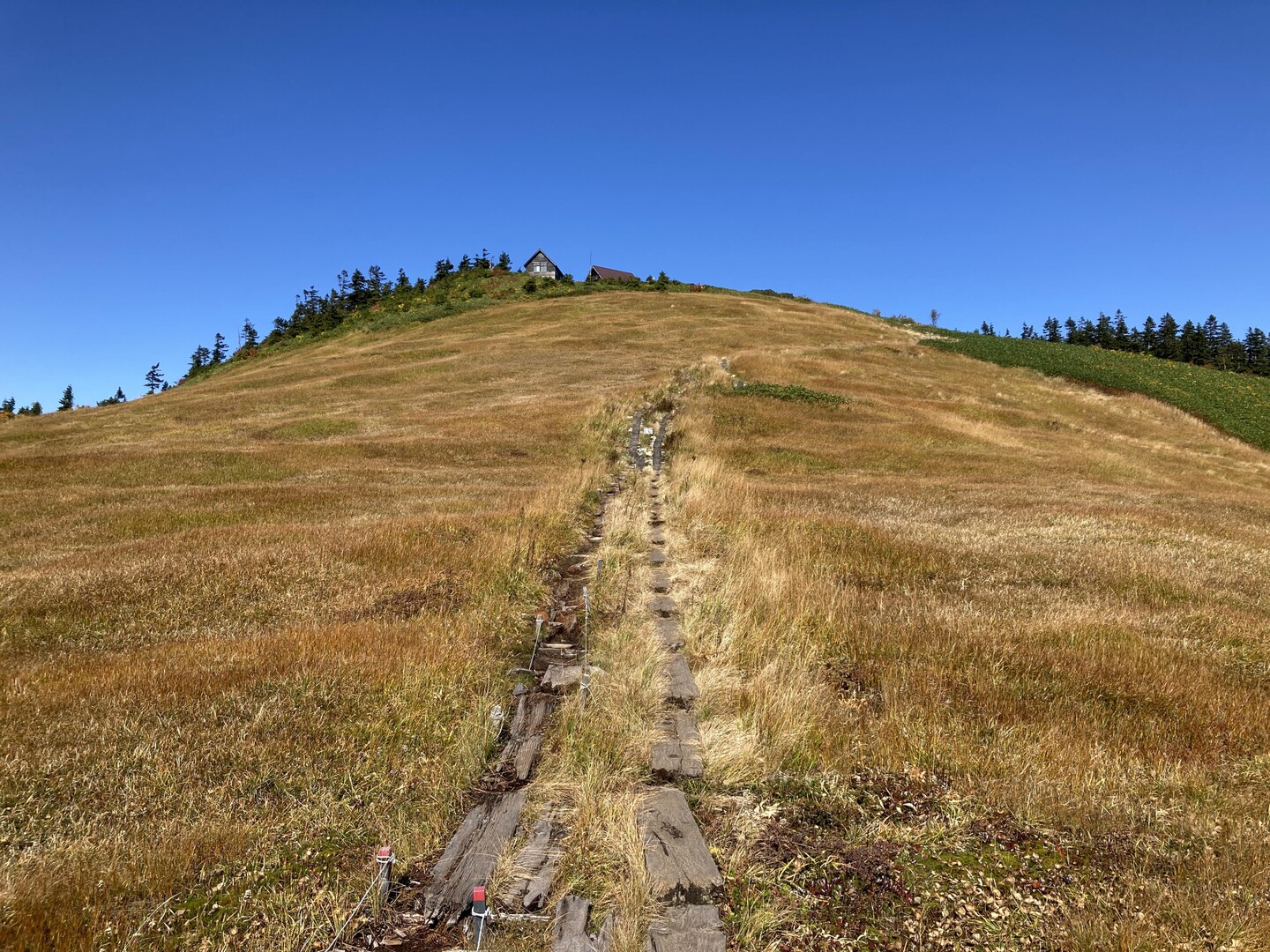 会津駒ヶ岳・中門岳 / hi-chanさんの会津駒ヶ岳の活動データ | YAMAP / ヤマップ