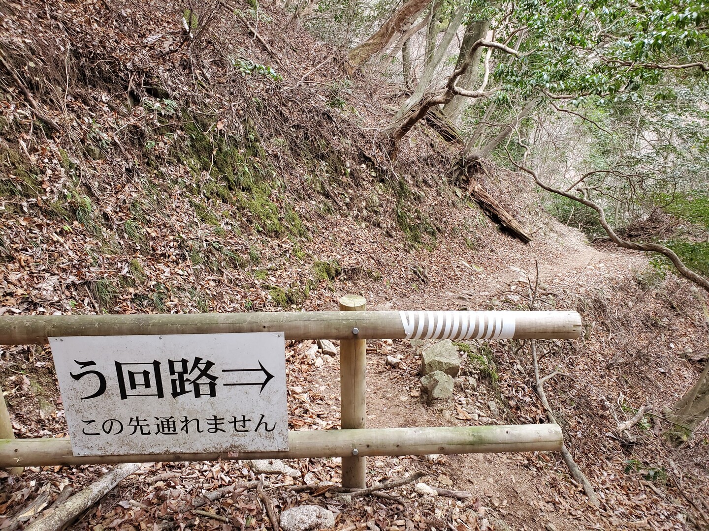 zkさんの投稿したフィールドメモ | YAMAP / ヤマップ