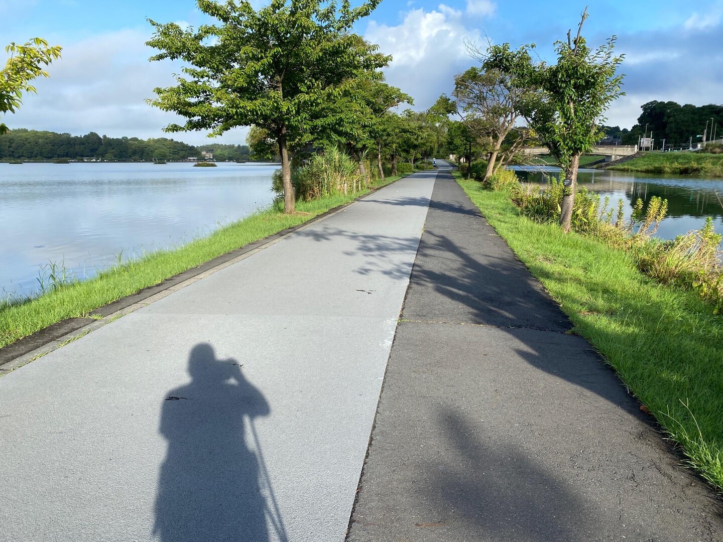 千波湖ノルディック / Bull&Umiさんのウォーキングの活動データ | YAMAP / ヤマップ