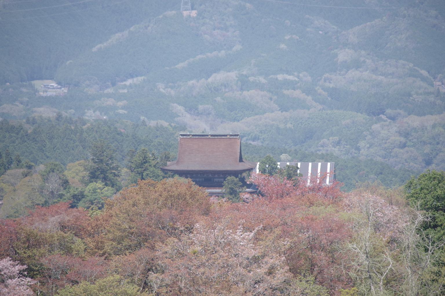 奈良の吉野山に久しぶりに行きました。 今... / サボテンライダーt2さんのモーメント | YAMAP / ヤマップ