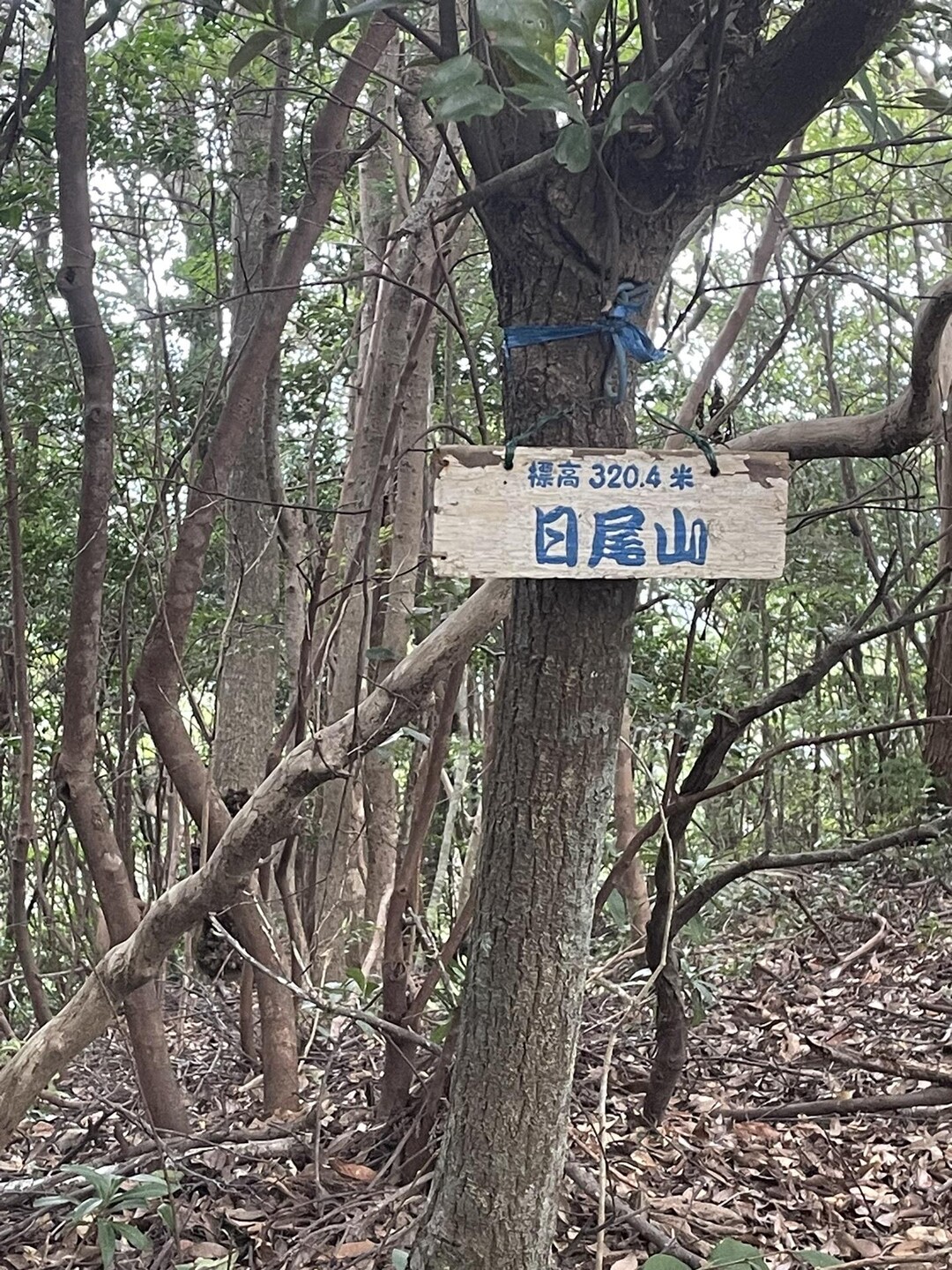 日尾山 / JBT会員番号5さんの紫雲山・嶽山の活動データ | YAMAP / ヤマップ