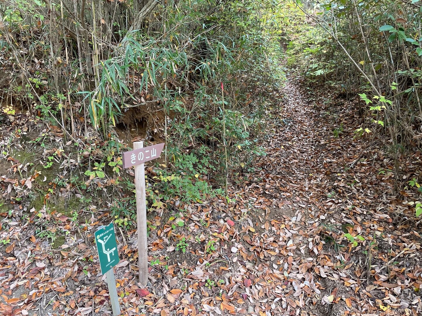 von Sigさんの投稿したフィールドメモ | YAMAP / ヤマップ