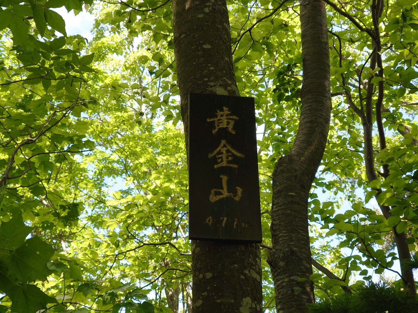 お宝探しの黄金山🪙 / fujisunさんの観音岩山（八剣山）の活動データ | YAMAP / ヤマップ