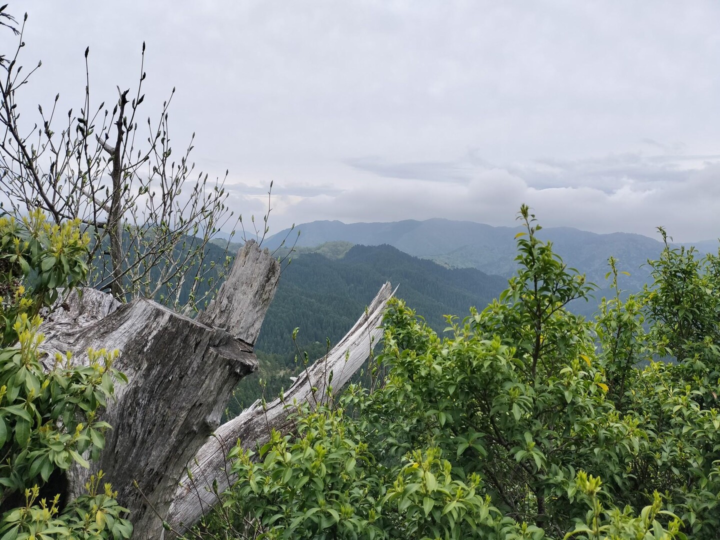 鎌倉山・八丁平・峰床山 / hi-santさんの峰床山・鎌倉山の活動データ | YAMAP / ヤマップ