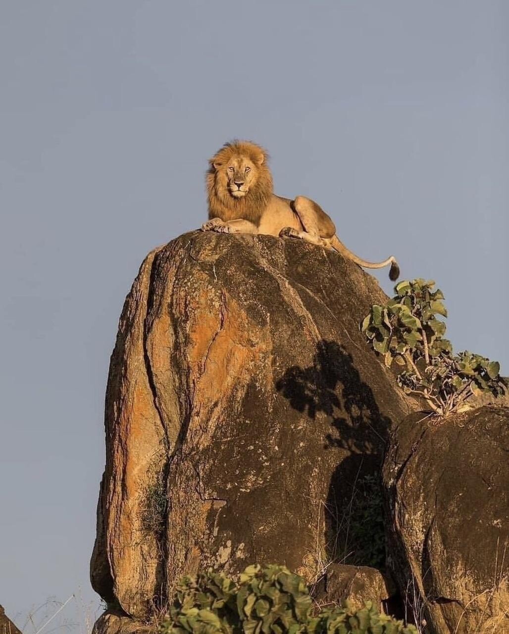 yakuts.uのページ | YAMAP / ヤマップ