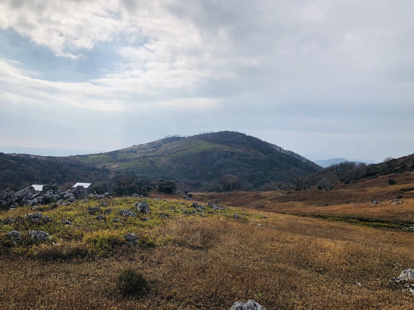 荷ヶ岳(冷川岳) ・頭陀ヶ平・天狗岩・藤原岳 / sugi.aki.bさんの藤原岳・御池岳の活動データ | YAMAP / ヤマップ