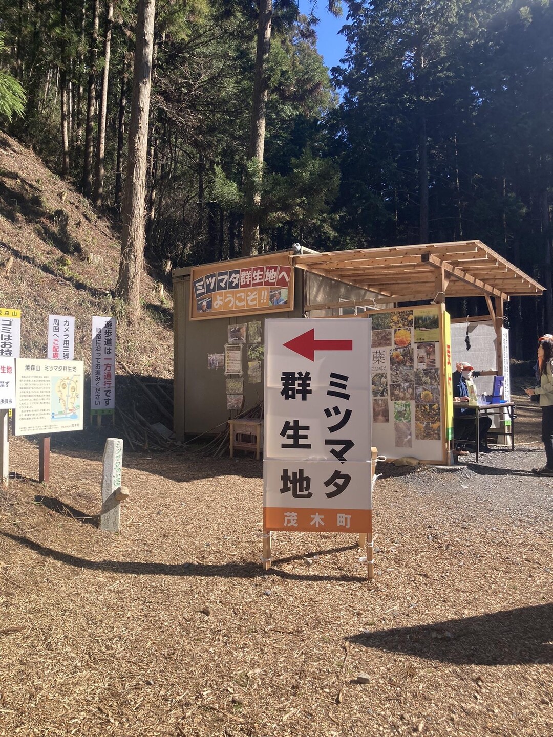 焼森山・鶏足山・赤沢富士 / ZAKIPさんの焼森山・鶏足山の活動データ | YAMAP / ヤマップ