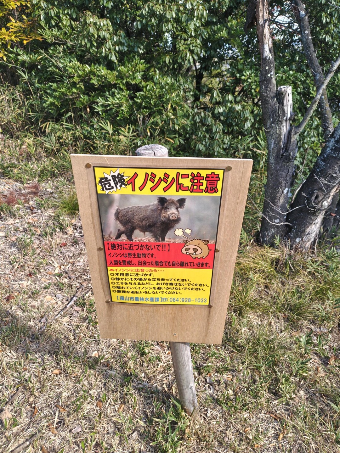 蔵王山 / gp02さんの蔵王山の活動データ | YAMAP / ヤマップ