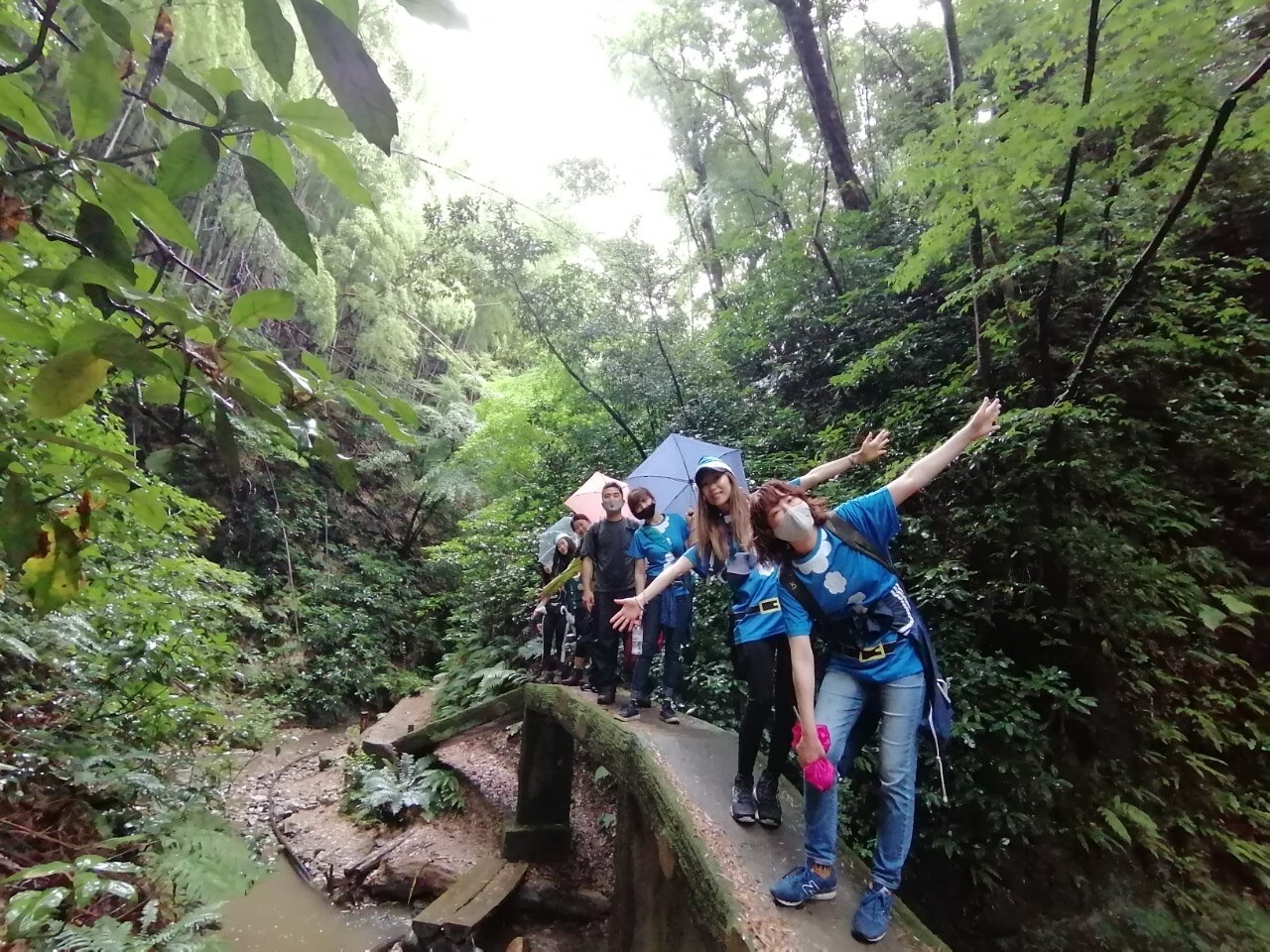 【大楠山】レイニーデーハイク / Kikipさんの大楠山・武山・三浦富士の活動データ | YAMAP / ヤマップ