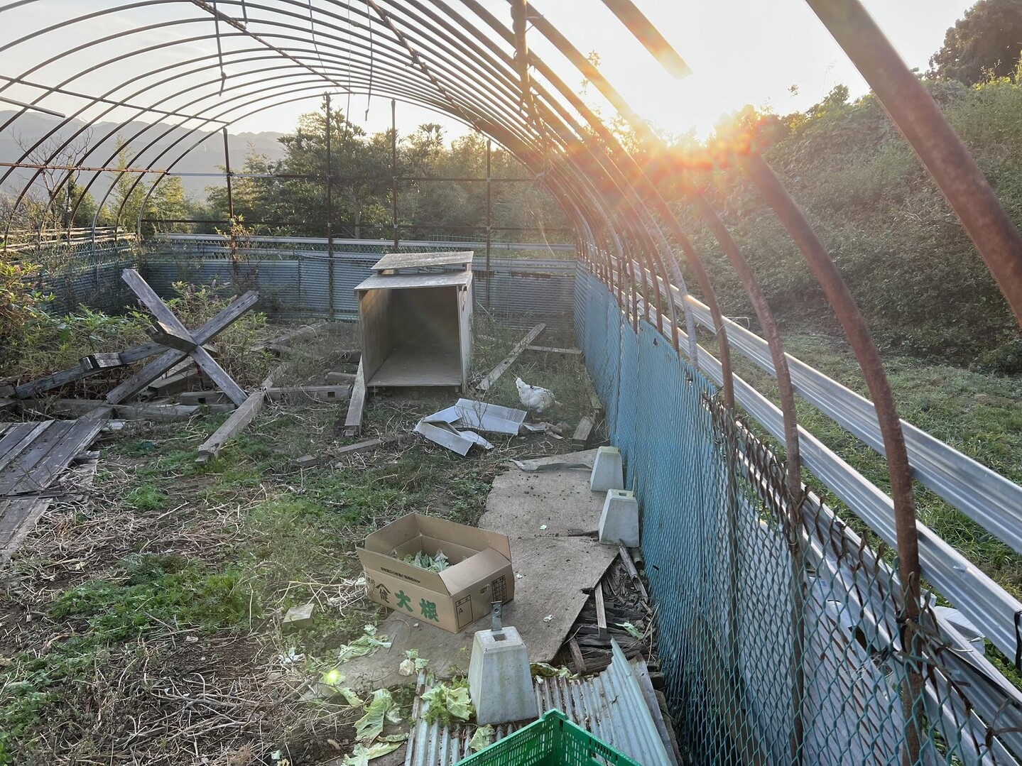 えっ？ / FW16さんの立花山・三日月山・城ノ越山の活動データ | YAMAP / ヤマップ