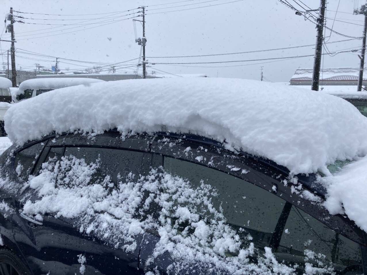 朝起きたら、15センチから20センチ夜中... / ISAさんのモーメント | YAMAP / ヤマップ